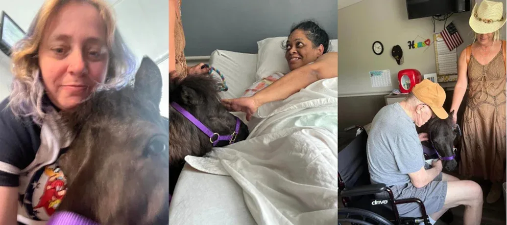 Ontario's Therapy Pony Brings Joy | Centers Health Care